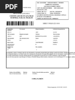 Formato ST-9 IMSS: Enfermedad Laboral | PDF | Ciencias de la Salud