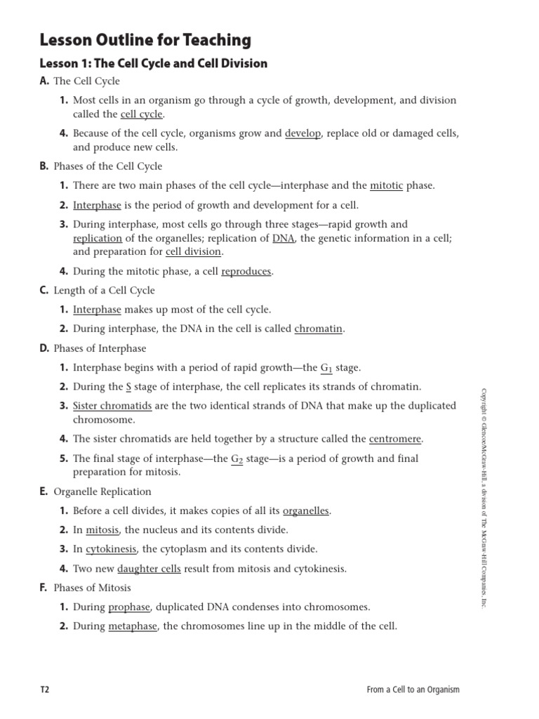 3-1 Outline Answers Cell Division | PDF | Mitosis | Cell Cycle