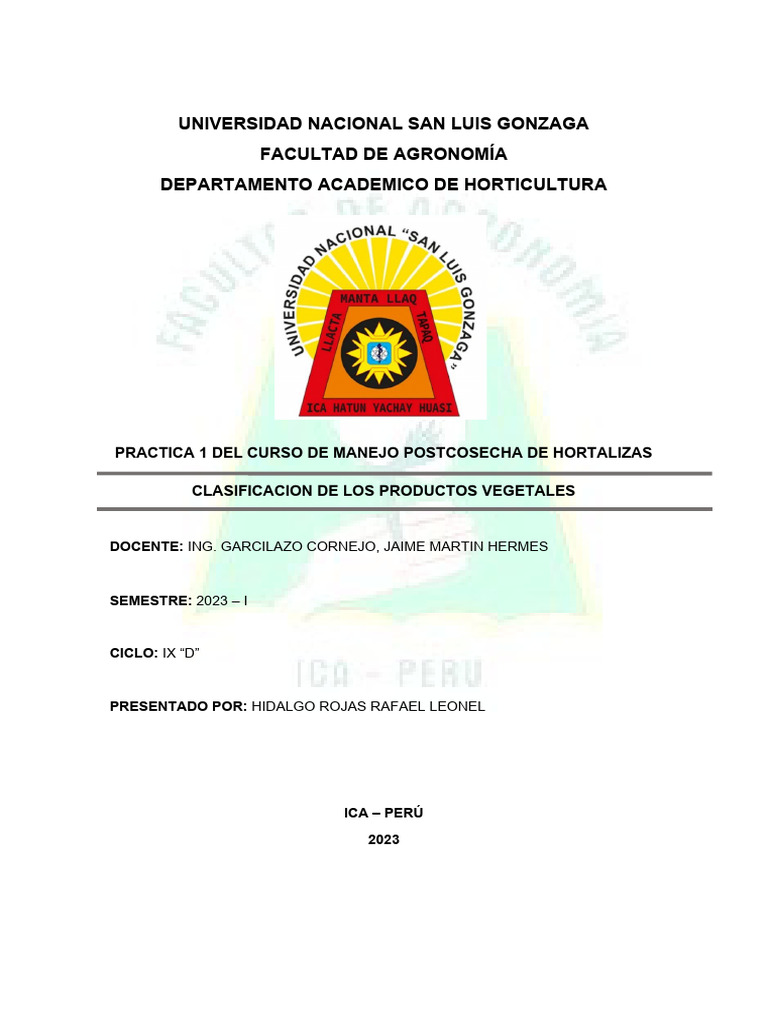Práctica de Manejo Postcosecha | PDF | Ajo | Cebolla