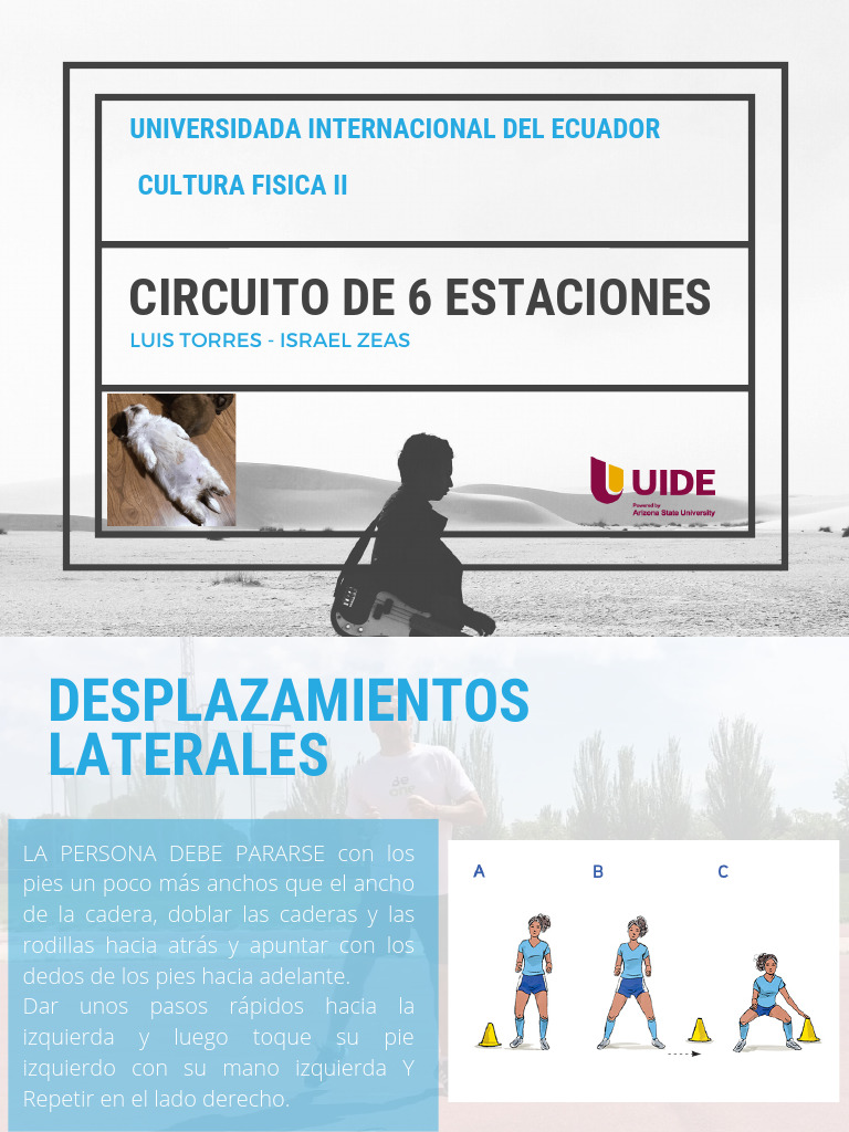 Circuito | PDF