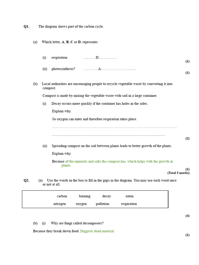 Understanding the Carbon Cycle and Composting | PDF | Compost ...