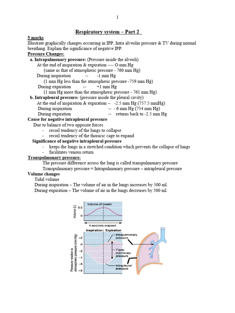 RS 2nd Part | PDF | Lung | Red Blood Cell