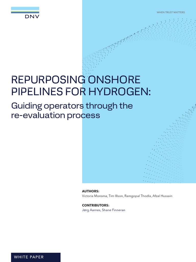 White Paper Repurposing Pipelines Hydrogen | PDF | Fatigue (Material ...