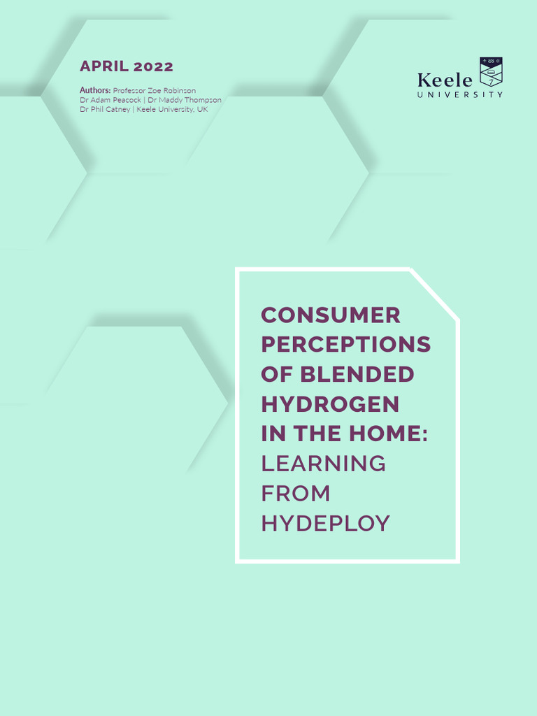 Customer Perceptions Report | PDF