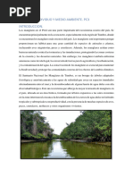Sabana Húmeda Con Palmeras (Pampas Del Heath) | PDF | Deforestación ...
