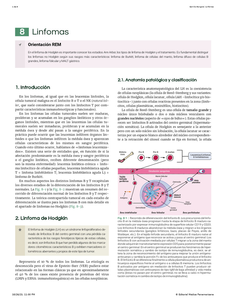 Linfomas | PDF | Linfoma | Linfocitos