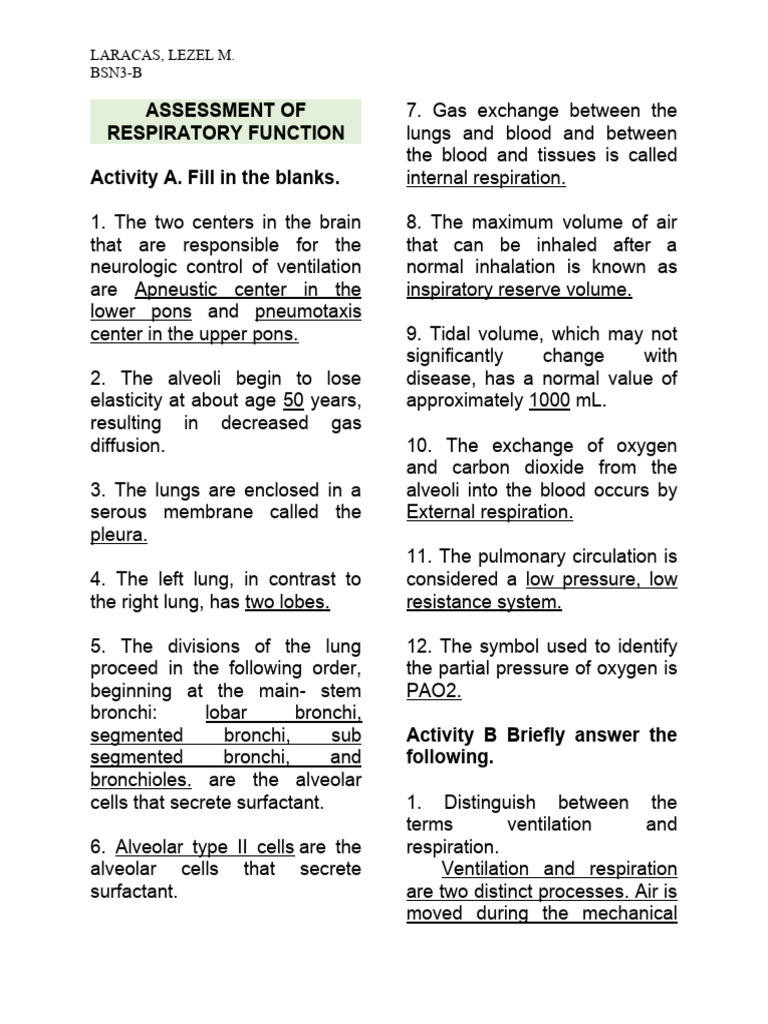 Laracas Lezel M. BSN3B - Medical Surgical | PDF | Lung | Chronic Obstructive Pulmonary Disease