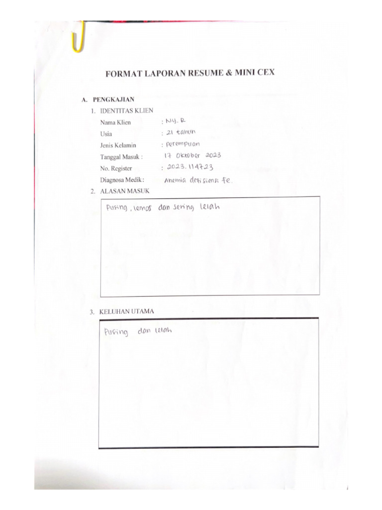 Mini Cex 1 | PDF