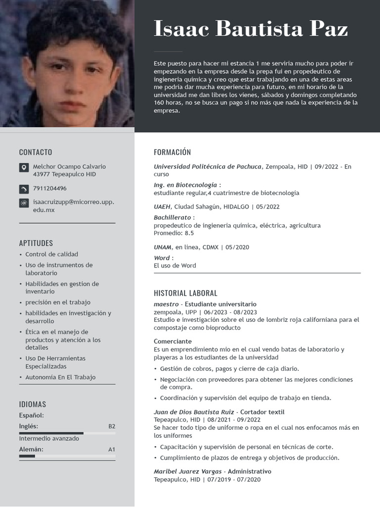 Isaac BautistaPaz CV | PDF | Business | Economias