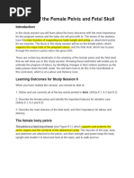 Duck Reproductive Anatomy Overview | PDF | Testicle | Ovary