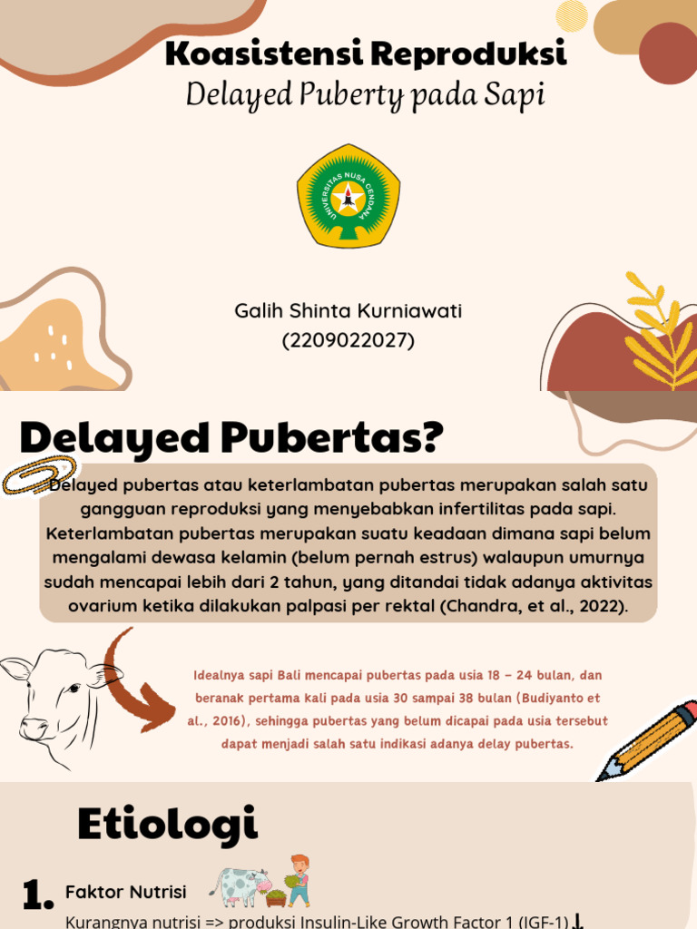Penyebab dan Penanganan Keterlambatan Pubertas Sapi | PDF | Kesehatan ...