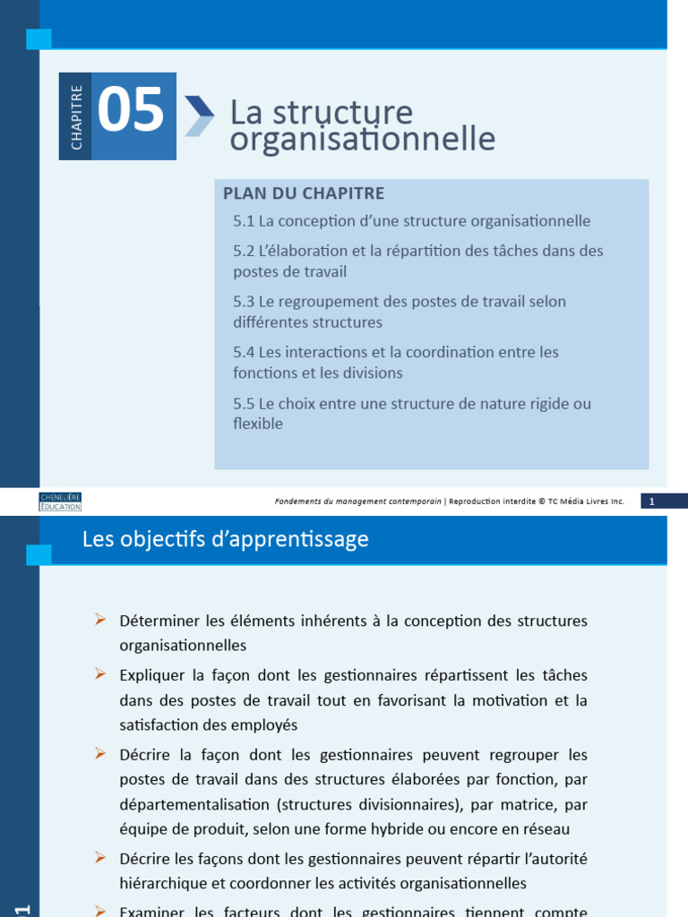 C5 - La Structure Organisationnelle | PDF | Motivation | Motivant