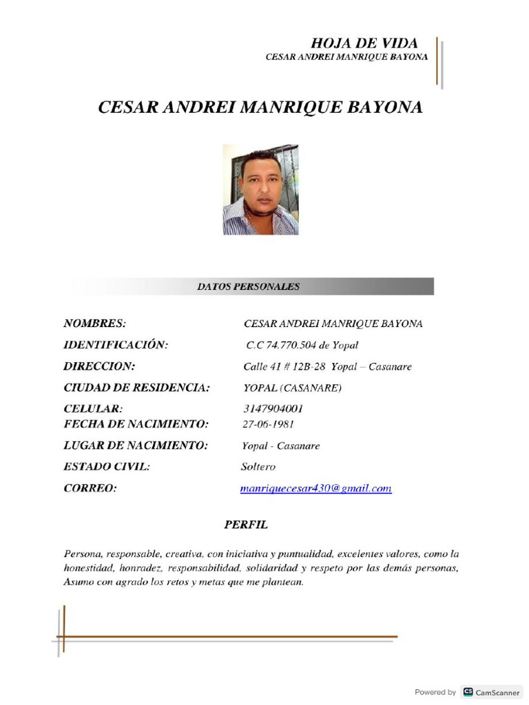 Hoja de Vida Cesar Andrei Manrique Bayona - fsv322 | PDF