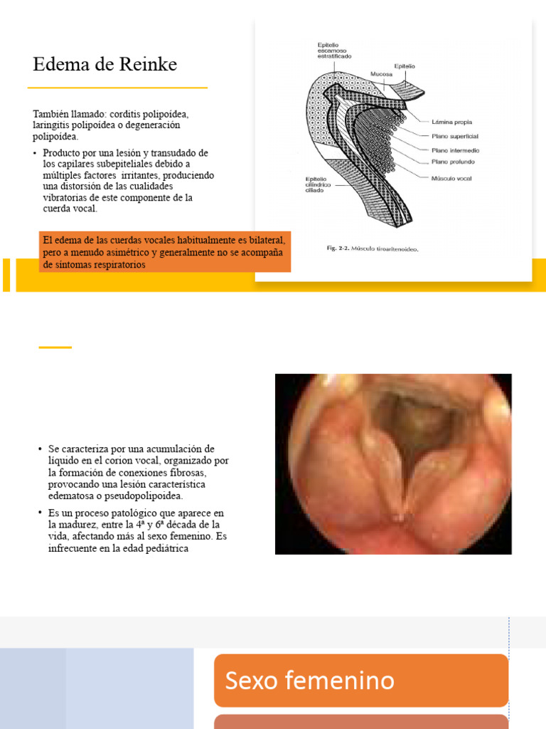 Reinke | PDF | Tos | Laringe