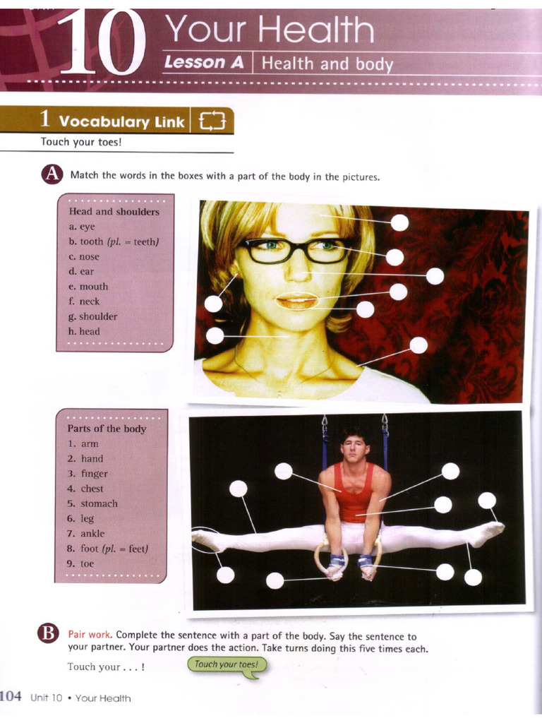 Lesson 13 - Health | PDF