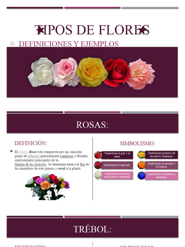 Tipos y significados de flores | PDF | Amor | Rosa