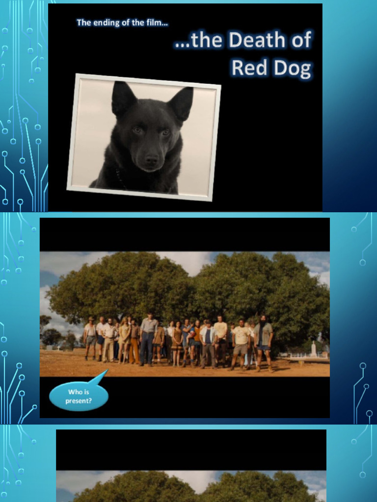 Red Dog Death Scene Analysis | PDF