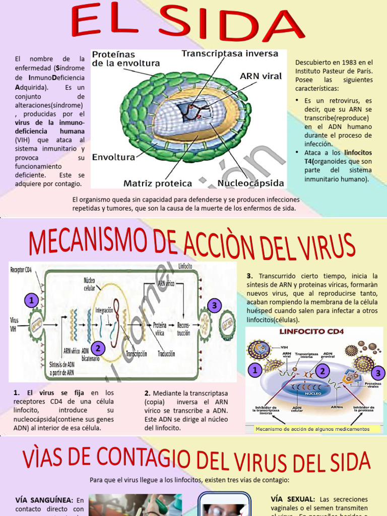 El Sida - Enfermedades Causadas Por El Sida | PDF | Virus | VIH / SIDA
