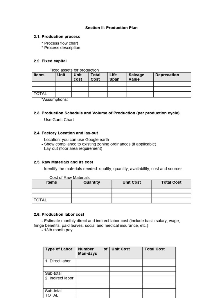 Production Plan | PDF