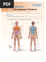 Gummy Bear Lab | PDF | Anatomical Terms Of Location | Animal Physiology