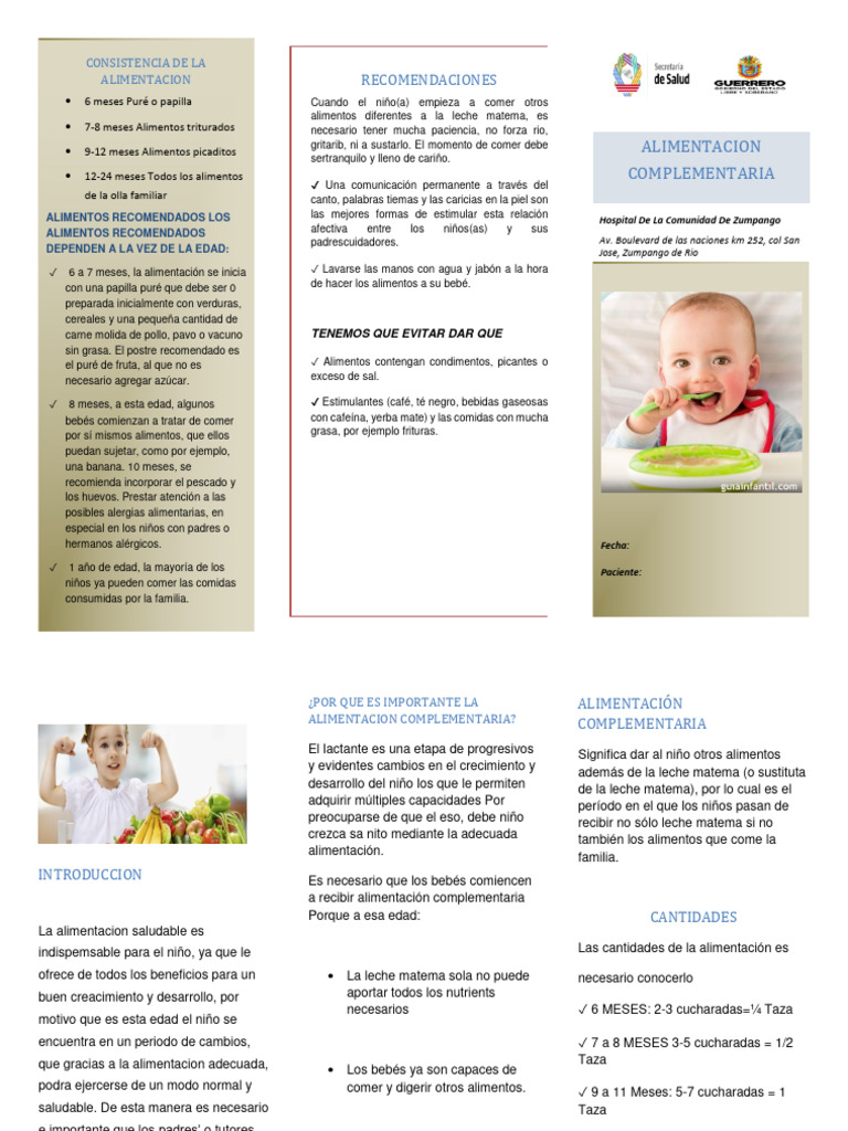 Triptico Alimentacion Complementaria | Descargar gratis PDF | Alimentos | Leche