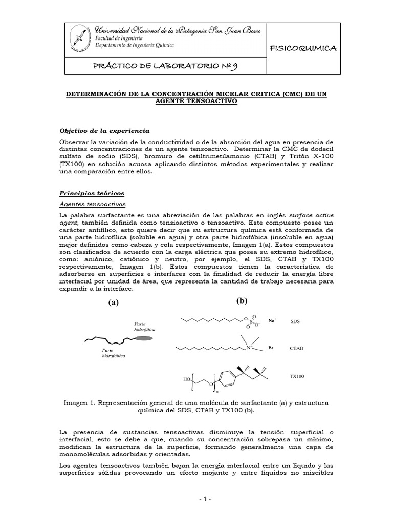 GL9 2019 | PDF | Tensioactivo | Física Aplicada e Interdisciplinaria