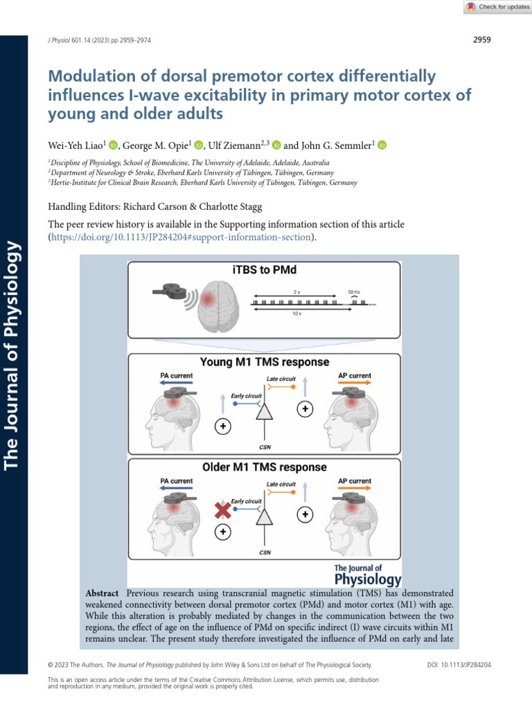 Modulation of Dorsal Premotor Cortex Differentially Influences I Wave ...