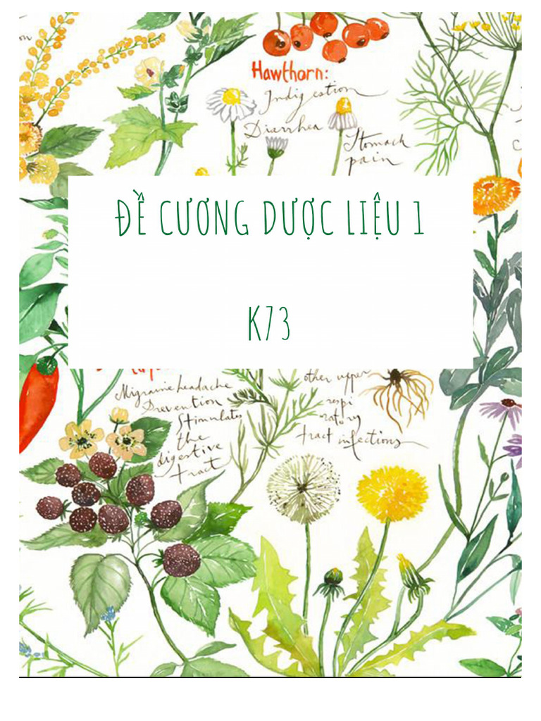 De Cuong DL1 | PDF