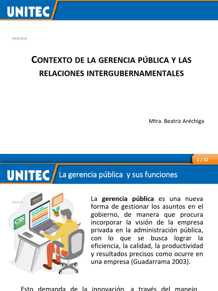 Gerencia Pública y RIGs: Eficiencia y Coordinación | PDF ...