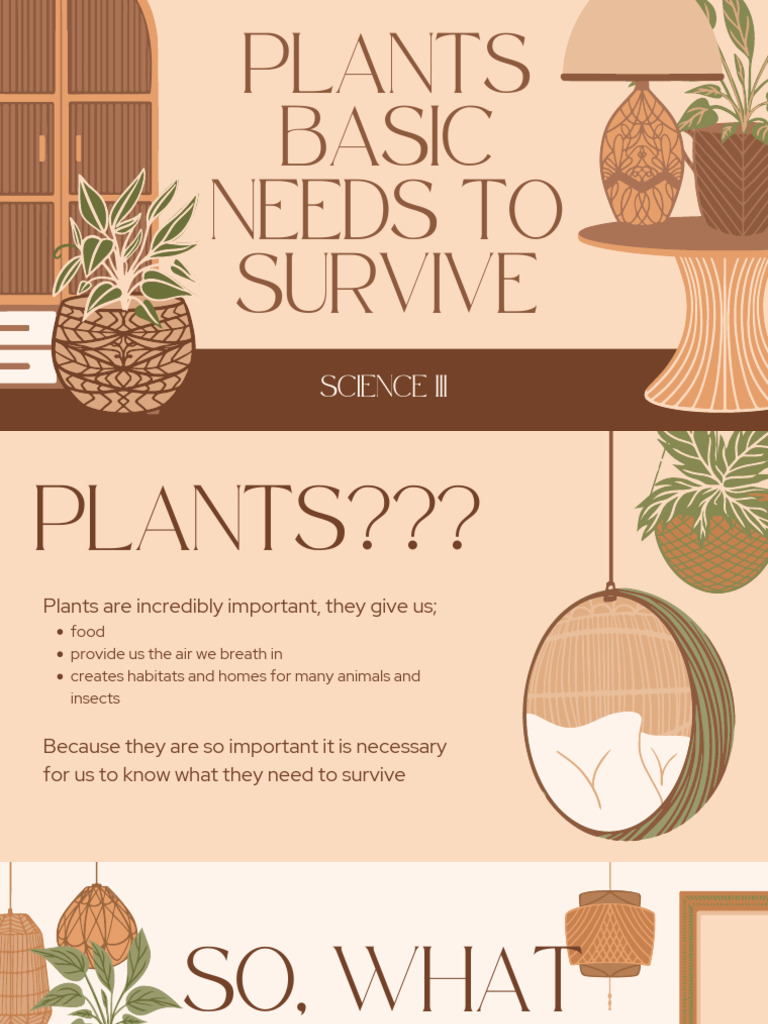 Plants Basic Needs To Survive | PDF