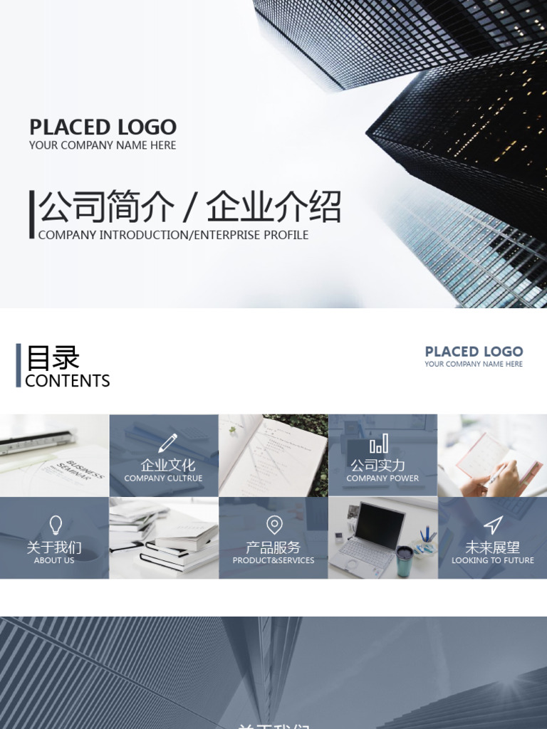 Placed Logo: Company Introduction/Enterprise Profile | PDF