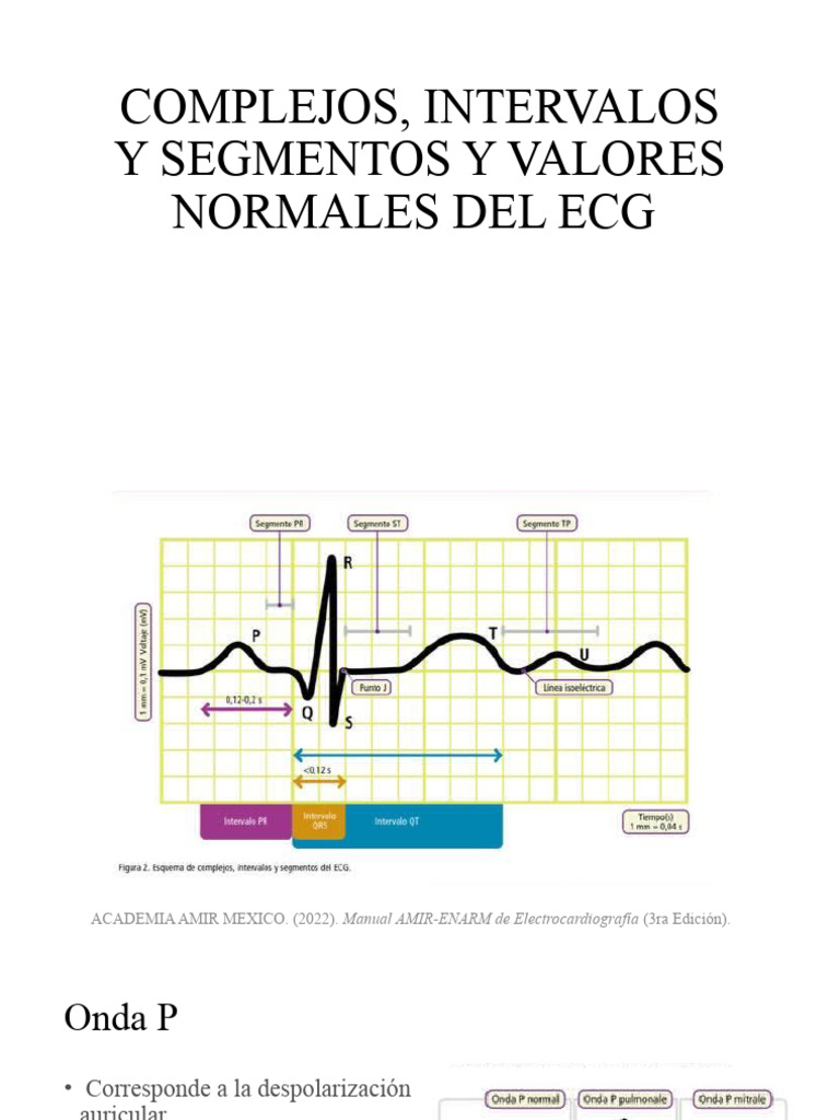 Valores Normales del ECG y Segmentos | PDF | Electrocardiografia ...