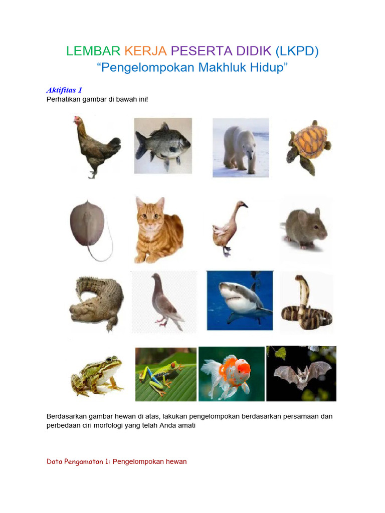 Klasifikasi Makhluk Hidup dan Pengelompokan | PDF | Sains & Matematika