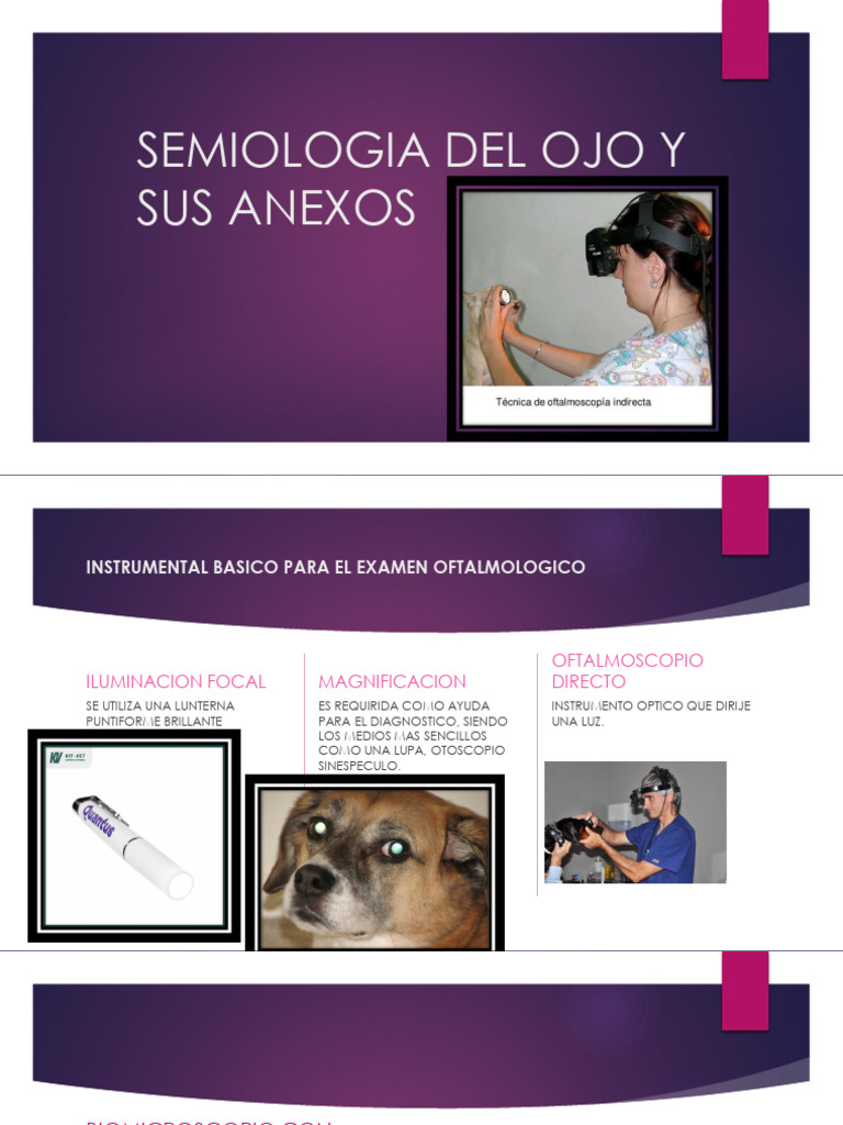 Semiologia Del Ojo y Sus Anexos-1 | PDF | Ojo humano | Oftalmología