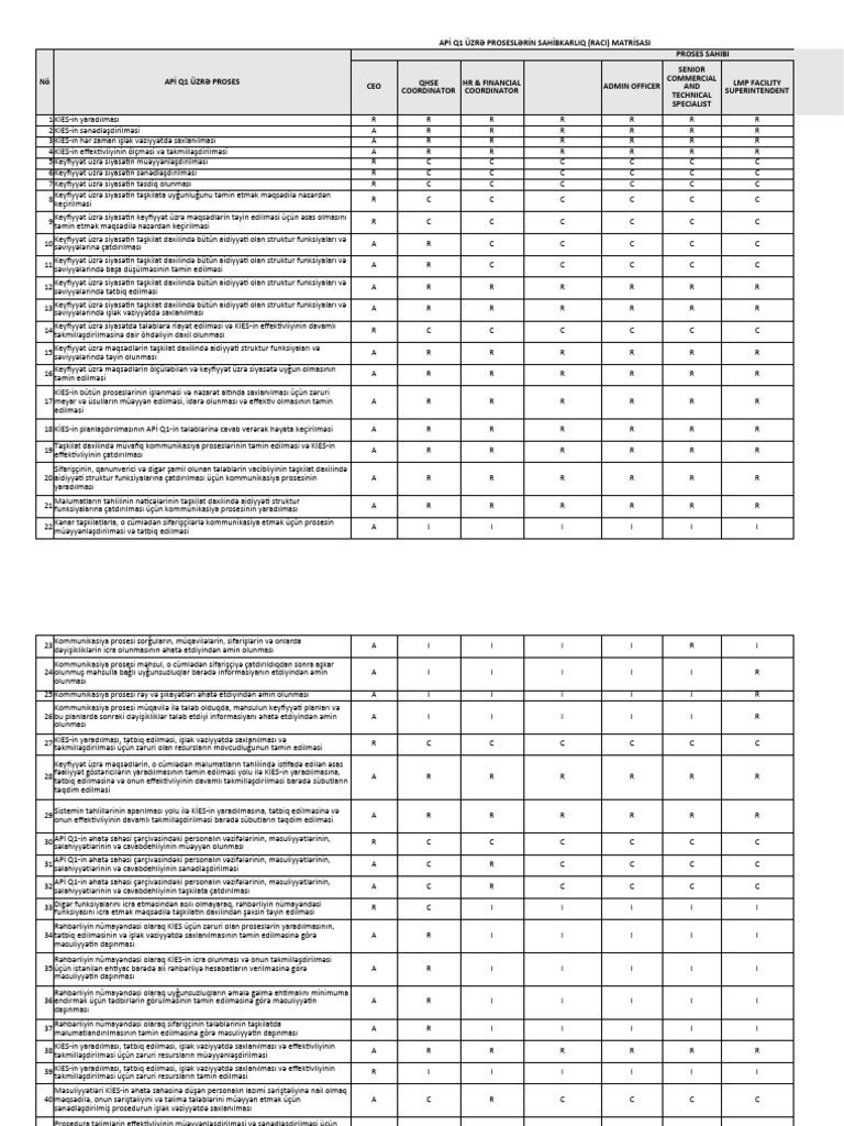 Process Ownership Matrix | PDF