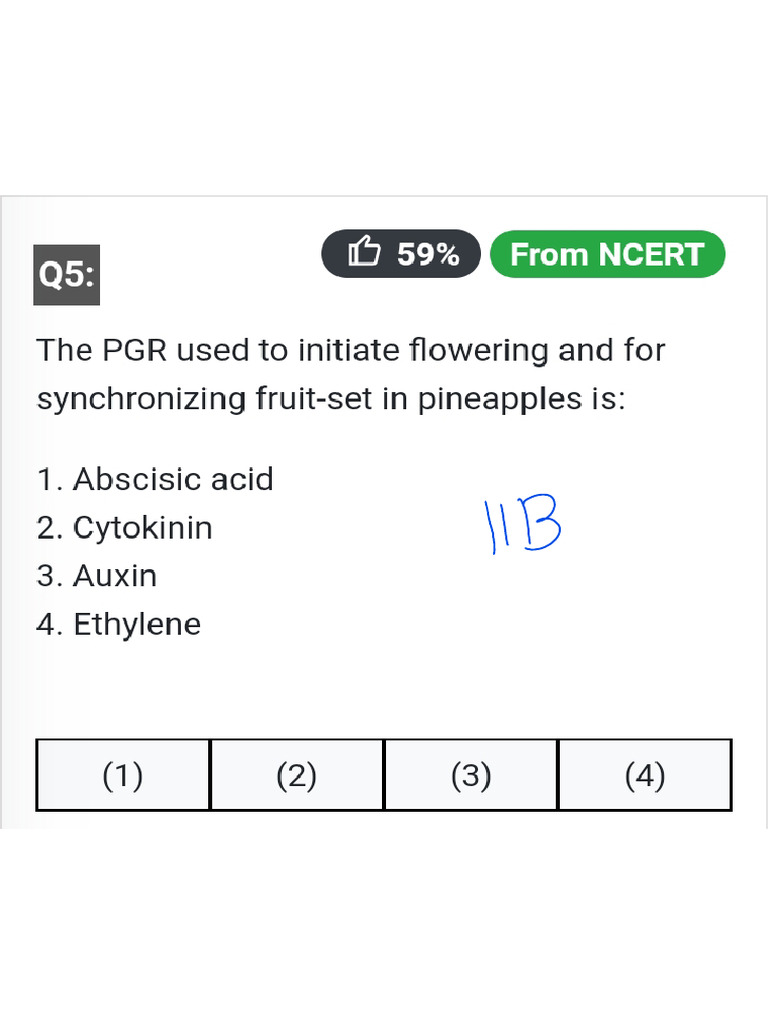 1st Question Paper | PDF