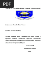 Xalayaa Jaalalaa Oromootaaf | PDF