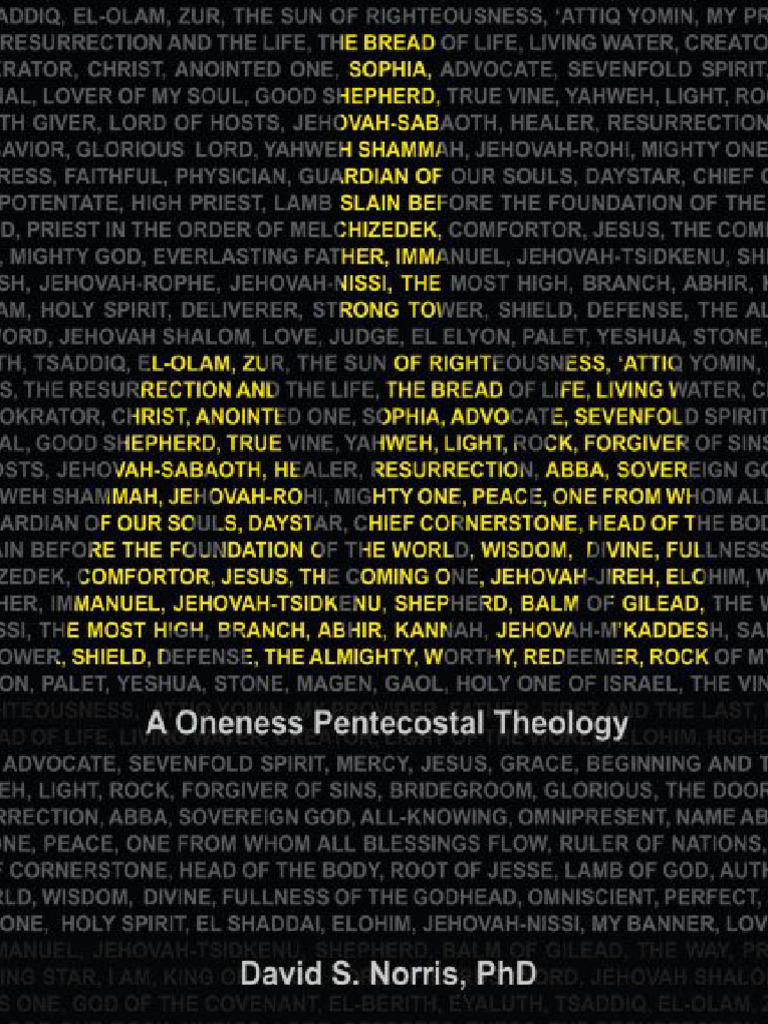 I AM A Oneness Pentecostal Theology (David S. Norris) (Z-Library) | PDF ...