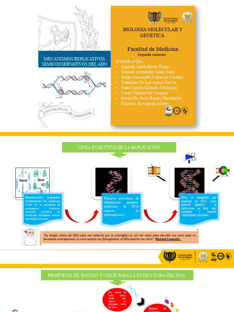 Mecanismos de Replicacion Semiconservativos Del Adn | Descargar gratis PDF | Adn | Replicación ...