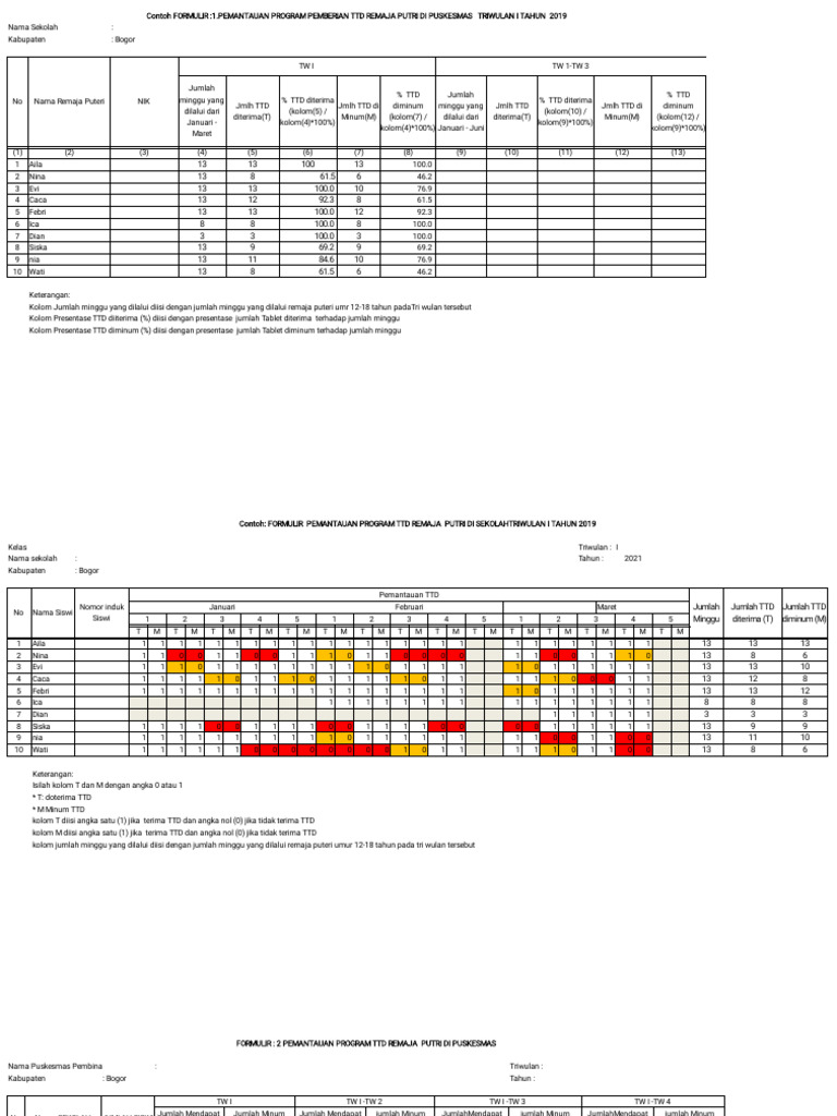 Lap PKM Pemantauan Pemberian TTD 2021 | PDF