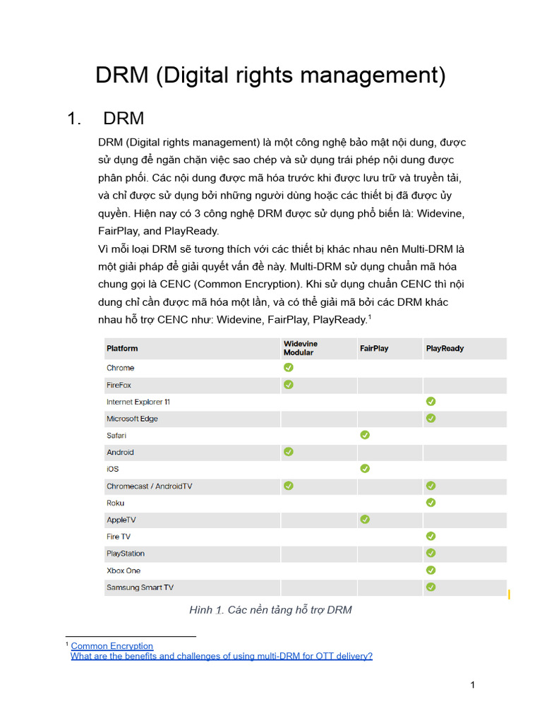 Drm Digital Rights Management Hг Nh 1 Cгўc Nб ѓn Tбєјng Hб Trб ј Drm Pdf