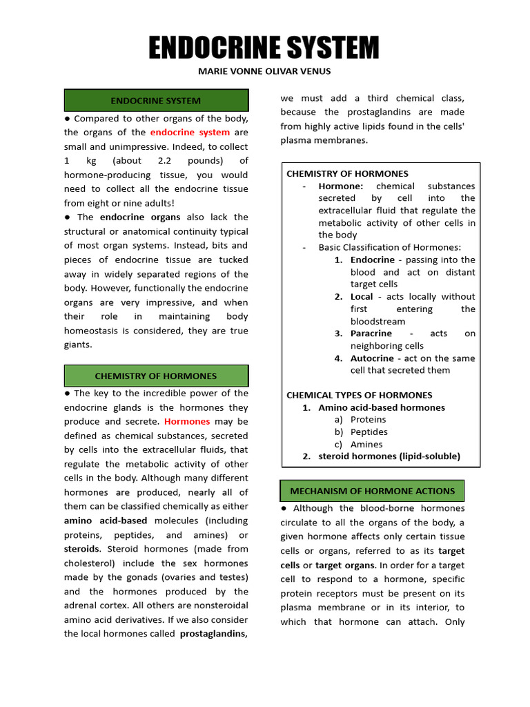 Endocrine System Pdf Endocrine System Hormone