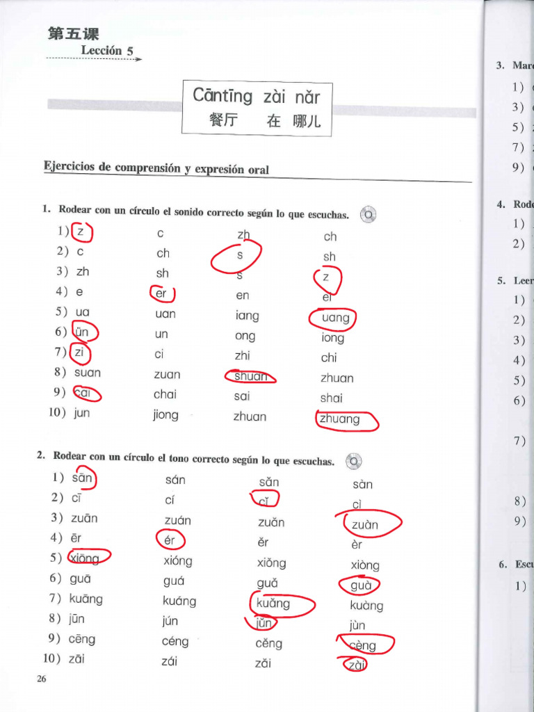 Tarea Leccion 5 Chino | PDF