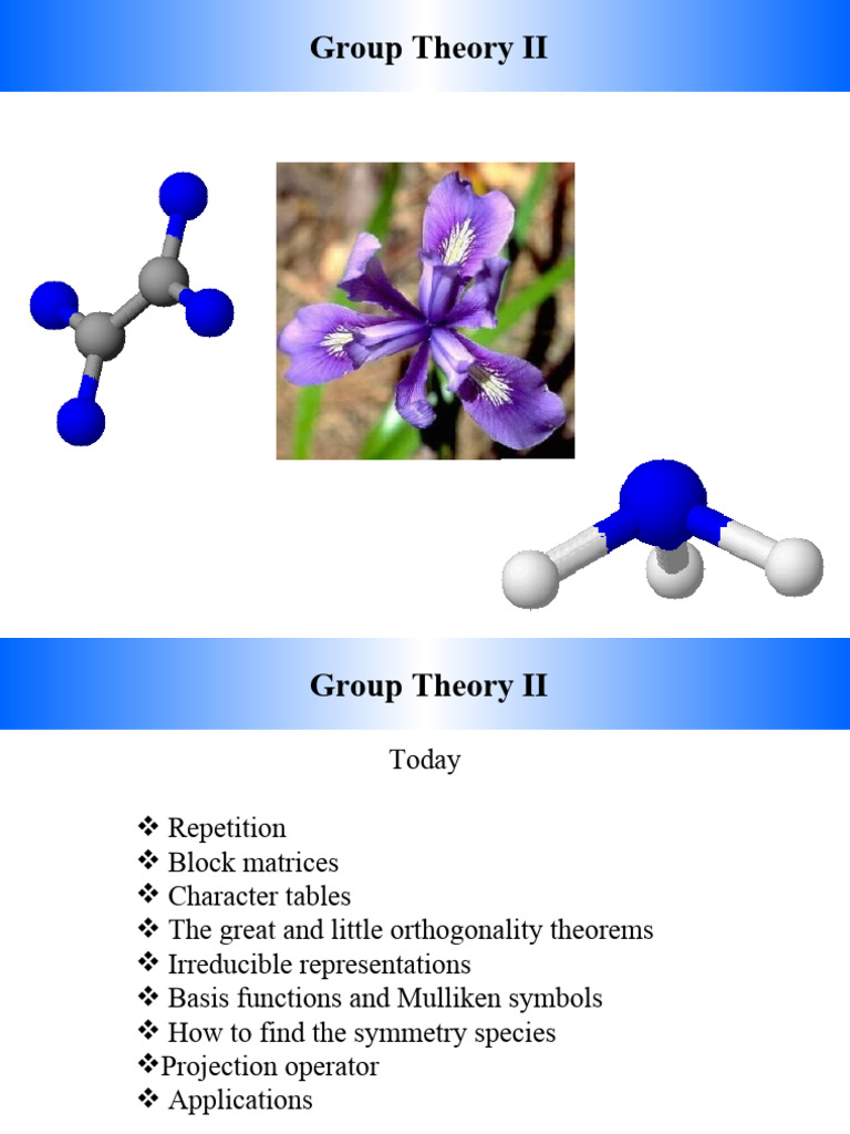 Group Theory II | PDF | Representation Theory | Group (Mathematics)
