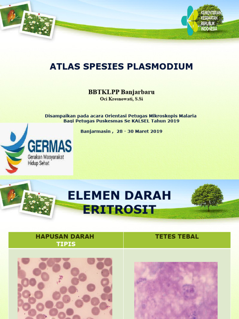 Atlas Spesies Plasmodium Malaria | PDF