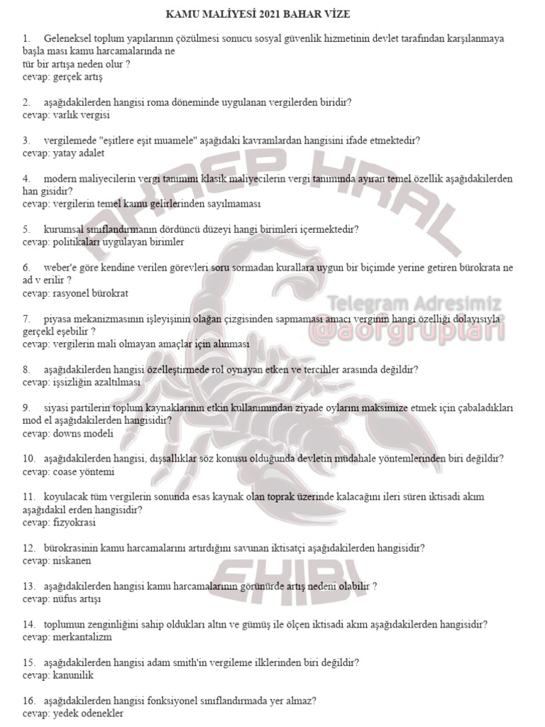 Kamu Maliyesi Vize 2021 | PDF