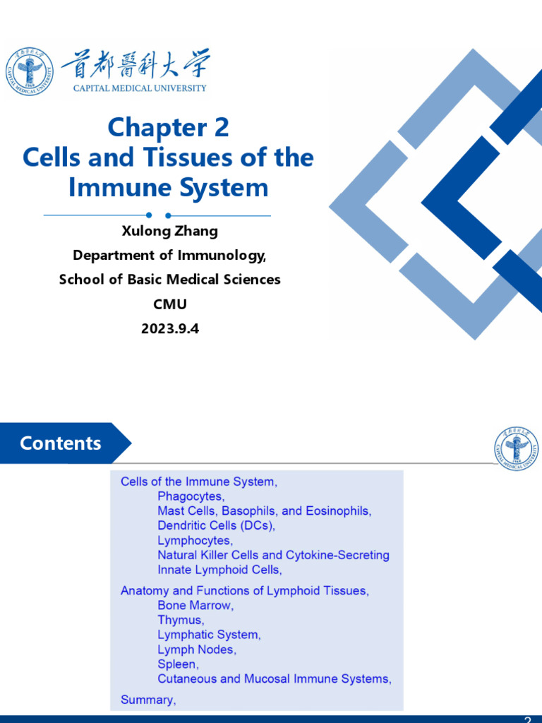 Chapter 2 Cells and Tissues of The Immune System | PDF | Lymphocyte | T ...