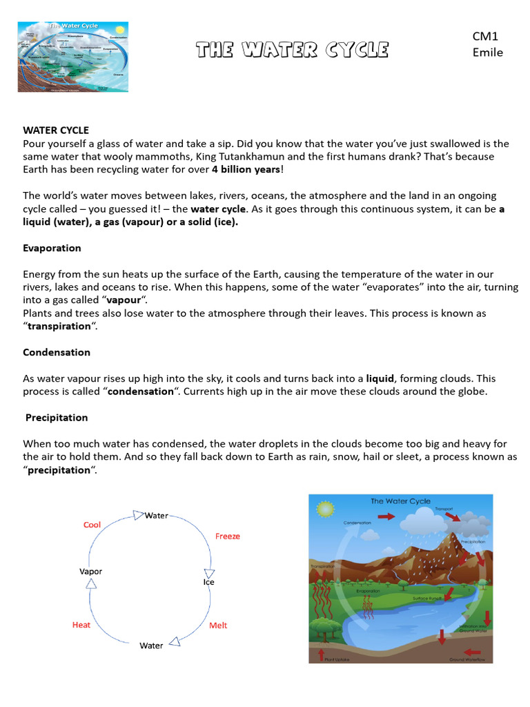 The Water Cycle | PDF