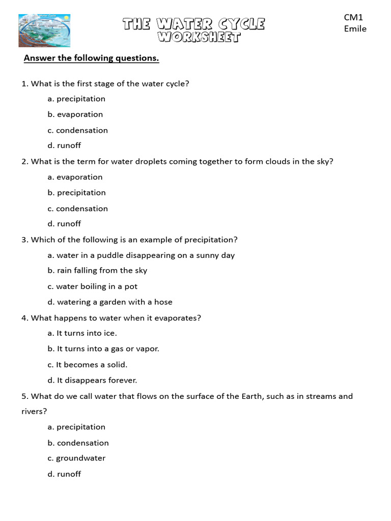 The Water Cycle Exercise | PDF