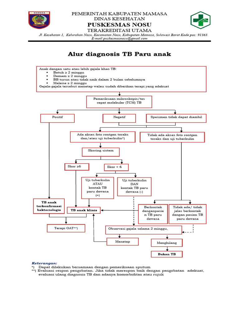 Panduan Diagnostik dan Pengobatan TB Anak | PDF